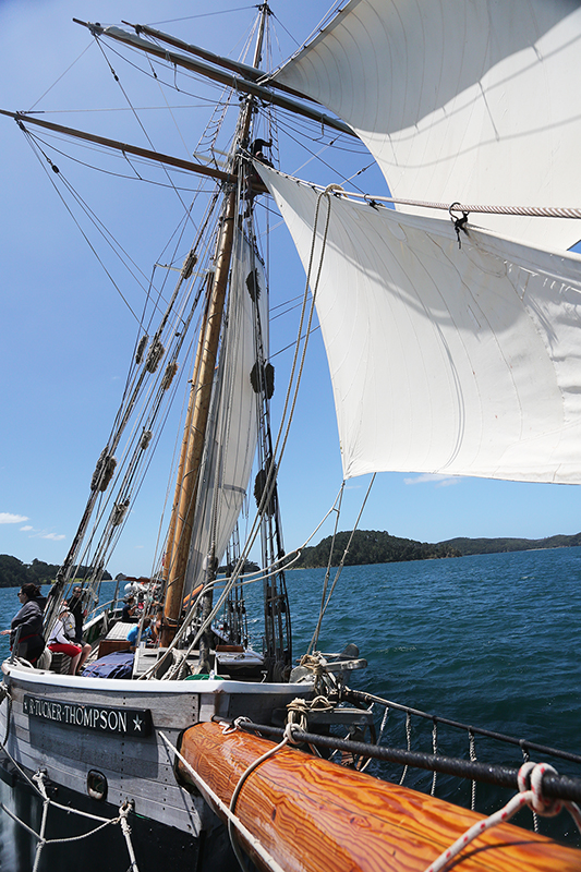 Tall Ship R Tucker Thompson, Bay of Islands, New Zealand