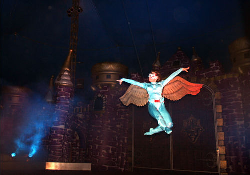 Weber Brothers Circus : La Jester : Weber Bros Circus : Circus ...